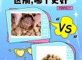 荔枝干和桂圆干的区别_哪个更补血