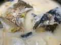 炖鱼头汤的做法大全_鱼头汤怎么炖才白