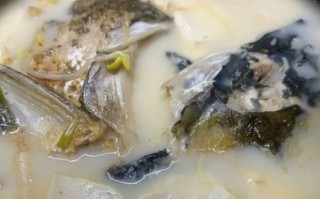 炖鱼头汤的做法大全_鱼头汤怎么炖才白