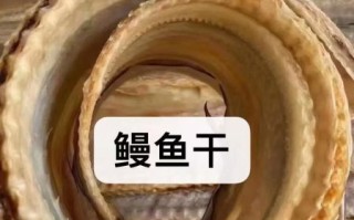 鳗鱼干怎么泡发_鳗鱼干泡多久才软