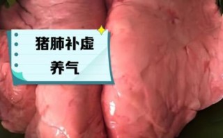 猪肺能吃吗_猪肺的危害有哪些