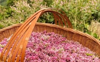 酒曲的制作方法视频_酒曲怎么做最正宗