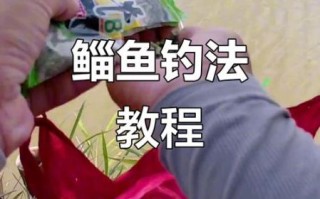 鲻鱼怎么钓_鲻鱼吃什么饵料