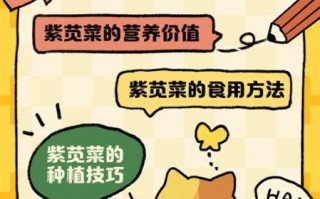 紫苋菜要不要焯水_焯水后营养会流失吗