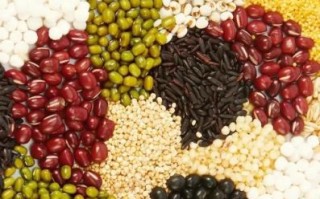 豆子种类有哪些_常见豆子图片大全
