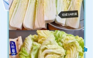 正宗东北酸菜怎么腌制_东北酸菜腌制窍门