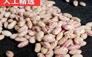 奶花豆的做法_奶花豆怎么煮才软糯