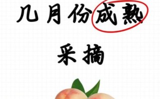 无锡水蜜桃哪里买最正宗_无锡水蜜桃几月份成熟