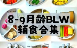 九个月宝宝辅食吃什么_九个月宝宝辅食食谱推荐