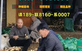 雷竹笋多少钱一斤_雷竹笋价格走势