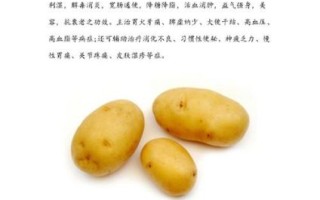 土豆热量高吗_土豆减肥能吃吗