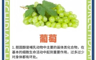 胆固醇最怕的三种蔬菜_吃什么降胆固醇最快