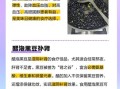 黑豆泡醋可以减肥吗_黑豆泡醋减肥原理