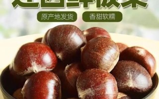 迁西板栗为什么出名_迁西板栗多少钱一斤