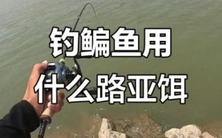 鳊鱼怎么钓_鳊鱼吃什么饵料