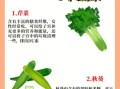 越吃子宫越干净的食物有哪些_子宫排毒吃什么最好