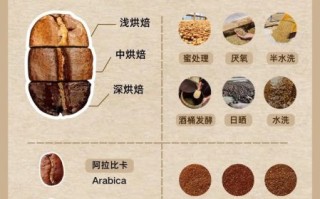 咖啡豆种植条件_咖啡豆种植方法
