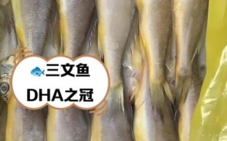 含dha高的食物排名_哪些食物dha含量最高