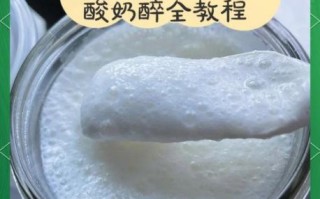 自制酸奶怎么做好喝_自制酸奶口感提升技巧