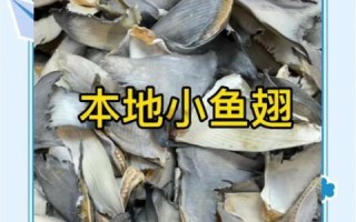 真鱼翅价格多少一斤_真鱼翅多少钱一斤