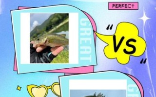 鲈鱼和桂鱼哪个好_鲈鱼和桂鱼哪个好吃