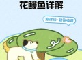 花鳗怎么养_花鳗和鳗鱼区别