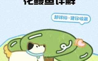 花鳗怎么养_花鳗和鳗鱼区别
