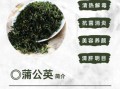 蒲公英的功效与作用及禁忌_哪些人不能吃蒲公英