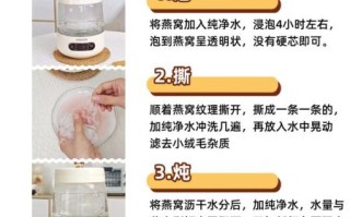 牛奶燕窝怎么炖_牛奶燕窝的正确做法