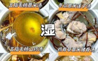 去湿汤怎么做_去湿汤配方有哪些