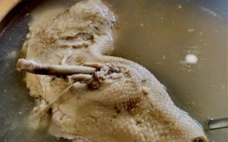 整只鸭怎么炖老鸭汤_老鸭汤去腥技巧