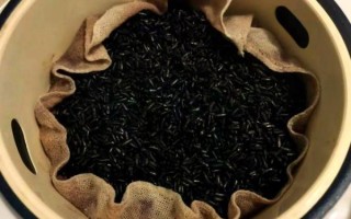 紫米掉色是真紫米吗_紫米掉色正常吗