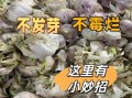变蒜的腌制方法_夏天变蒜怎么保存不发芽