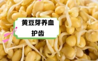 吃黄豆芽的好处与坏处_哪些人不能吃黄豆芽