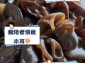 木耳不能和什么一起吃_鲜木耳能吃吗