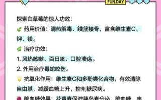 白草莓的功效与作用_白草莓的营养价值有哪些