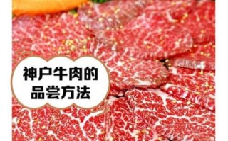 神户牛肉多少钱一斤_日本神户牛肉价格