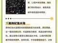 黑枸杞一次泡多少颗_黑枸杞泡水用量