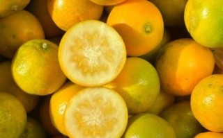 金桔上火吗_吃金桔会不会上火