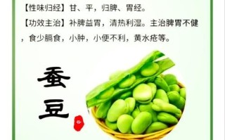 新鲜蚕豆有毒吗_蚕豆中毒症状及预防