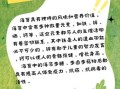 儿童吃海苔有什么好处_海苔的营养价值高吗