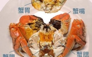 螃蟹怎么清洗内脏_螃蟹清洗内脏步骤图解