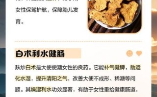 蜜麸炒白术的功效与作用_蜜麸炒白术和生白术区别