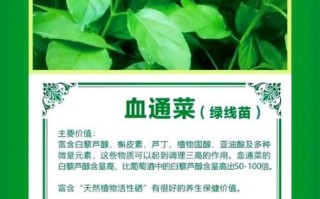 通菜的功效与作用_通菜怎么吃最营养