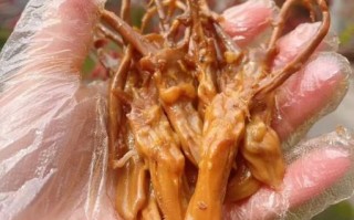 鸭舌为什么这么贵_鸭舌价格高的原因