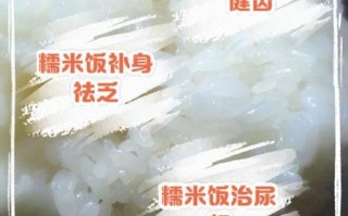 糯米饭的功效与作用_糯米饭适合什么人吃