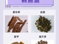 散结最好的中草药有哪些_如何正确使用