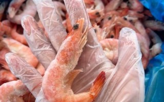 冰冻大对虾怎么做好吃_冰冻大对虾的做法大全