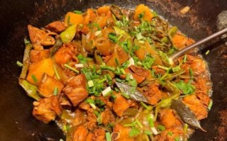 炖肉怎么炖法_炖肉用什么锅最好