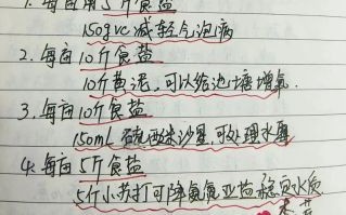 对虾怎么养殖_对虾养殖技术要点